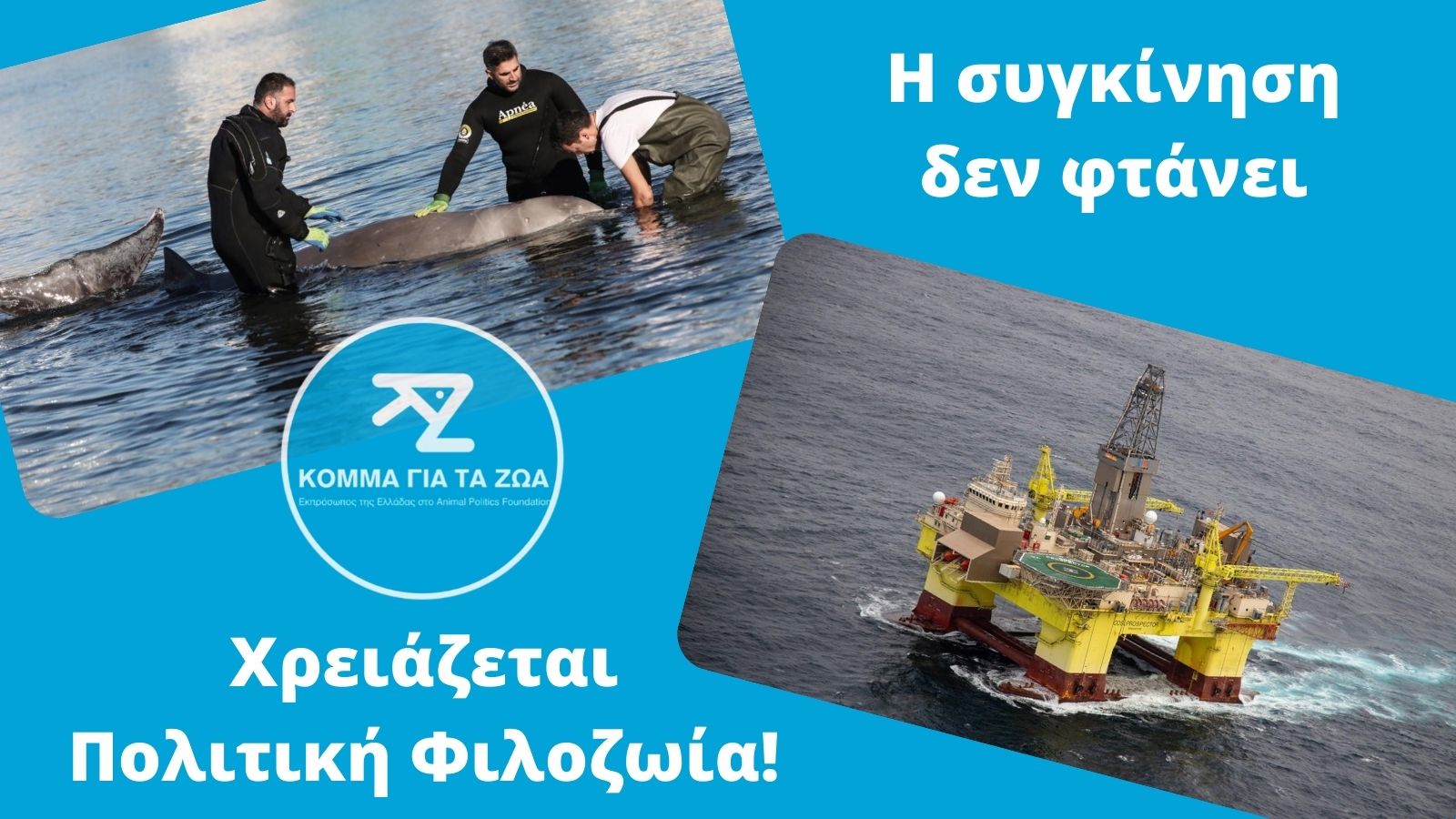 Ο Δρ. Αλέξανδρος Φραντζής για το κητώδες που εξόκειλε στον Άλιμο ...