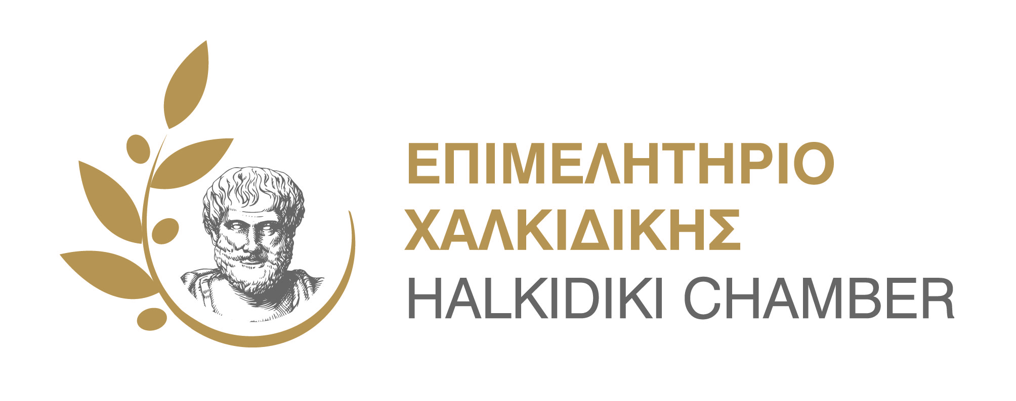 ΕΠΙΜΕΛΗΤΗΡΙΟ ΧΑΛΚΙΔΙΚΗΣ – ΔΙΟΡΓΑΝΩΣΗ 1ου ΚΥΚΛΟΥ e- ΣΕΜΙΝΑΡΙΩΝ ΓΙΑ ΤΟ ...