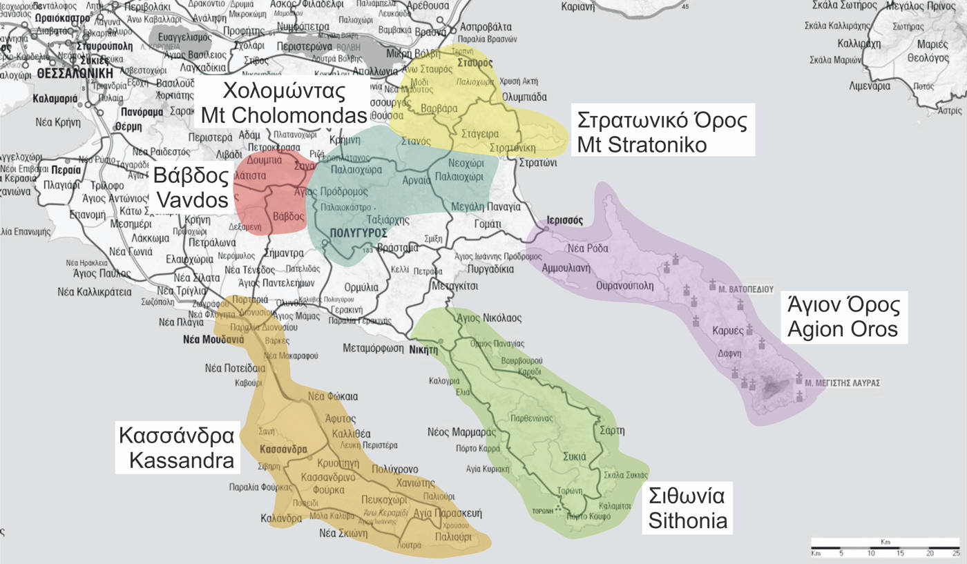 ΠΡΩΤΑΘΛΗΤΡΙΑ Η ΧΑΛΚΙΔΙΚΗ ΜΕ 156.127 στρέμματα - HalkidikiPost